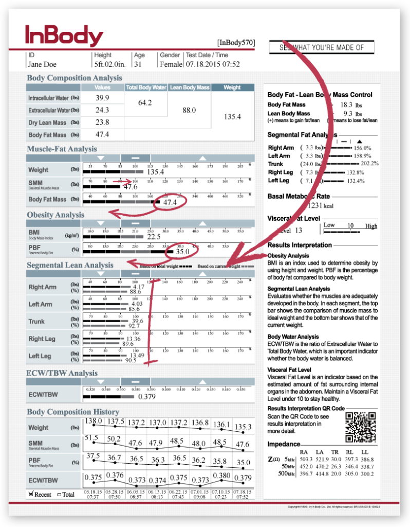 Body Composition Testing - Vero Beach Nutrition